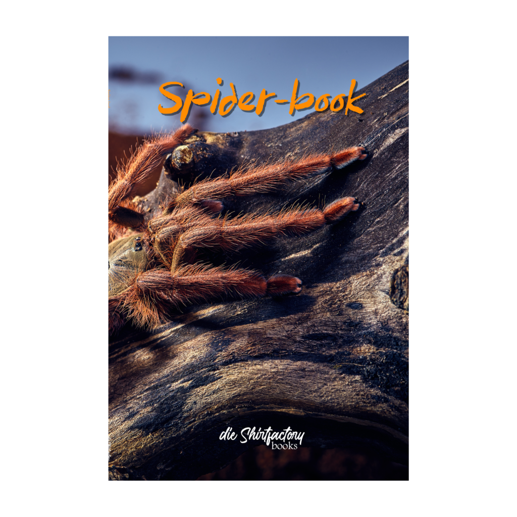 Spider Book (Design 4)